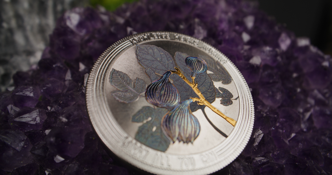 2024 Crash Course Coin